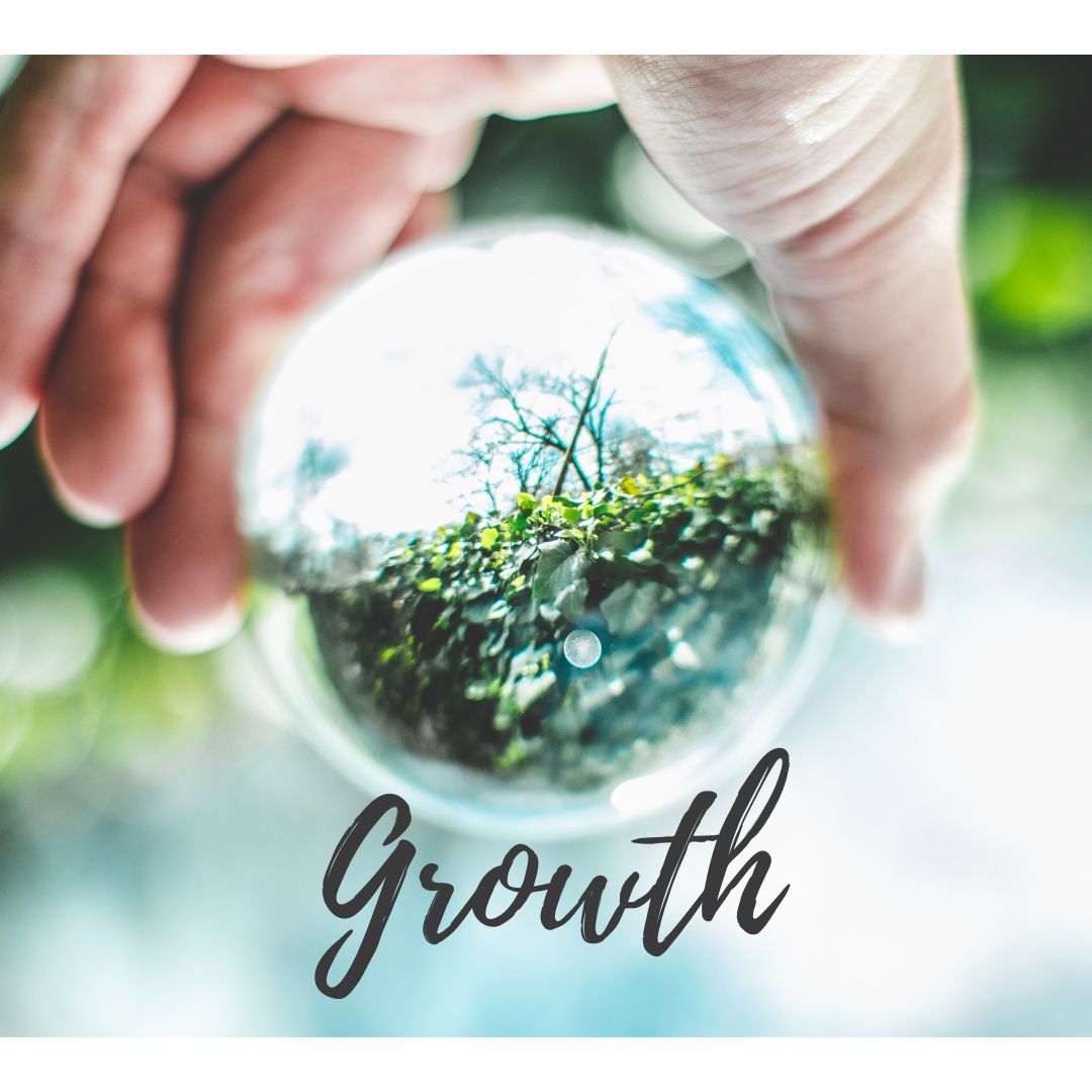 FEED YOUR OBSESSION – Freeman Formula